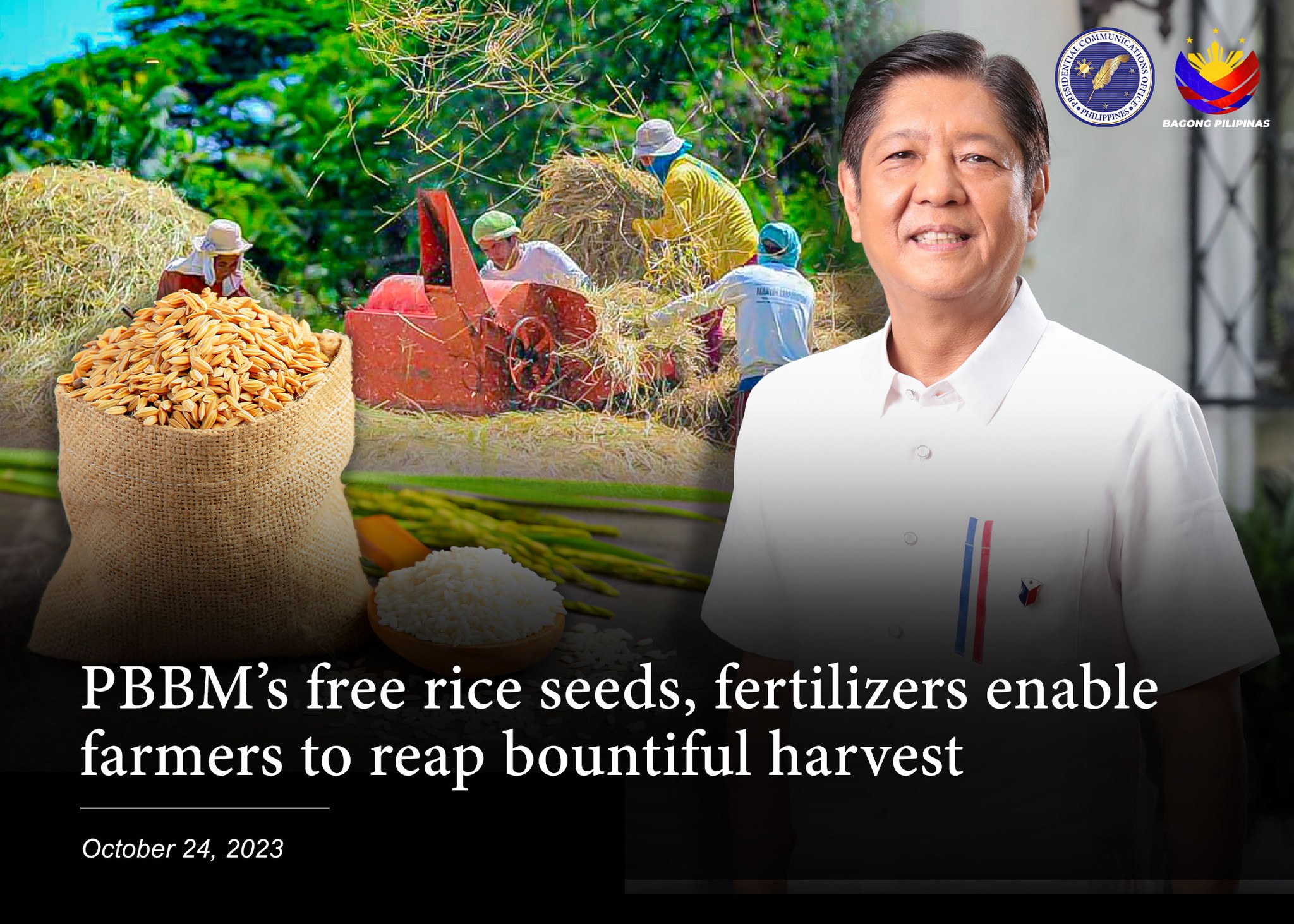 PBBM’s free rice seeds, fertilizers enable farmers to reap bountiful ...